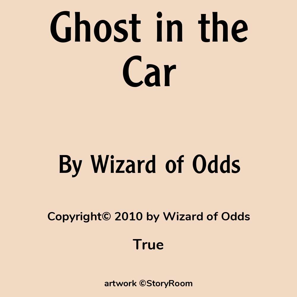 Ghost in the Car - True Story